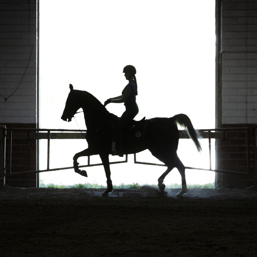 Equestrian Studies - Stephens College