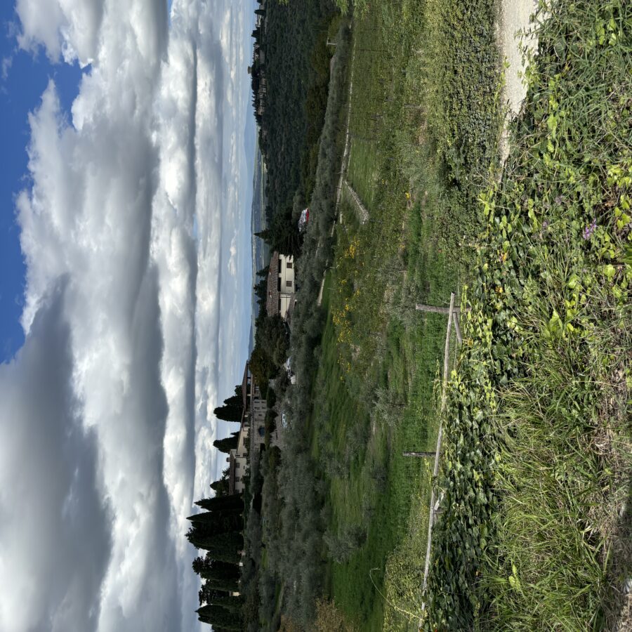 Study Abroad Scholarships - Stephens College