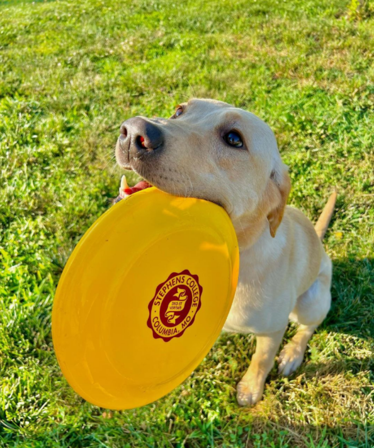 Why Stephens? - Stephens College